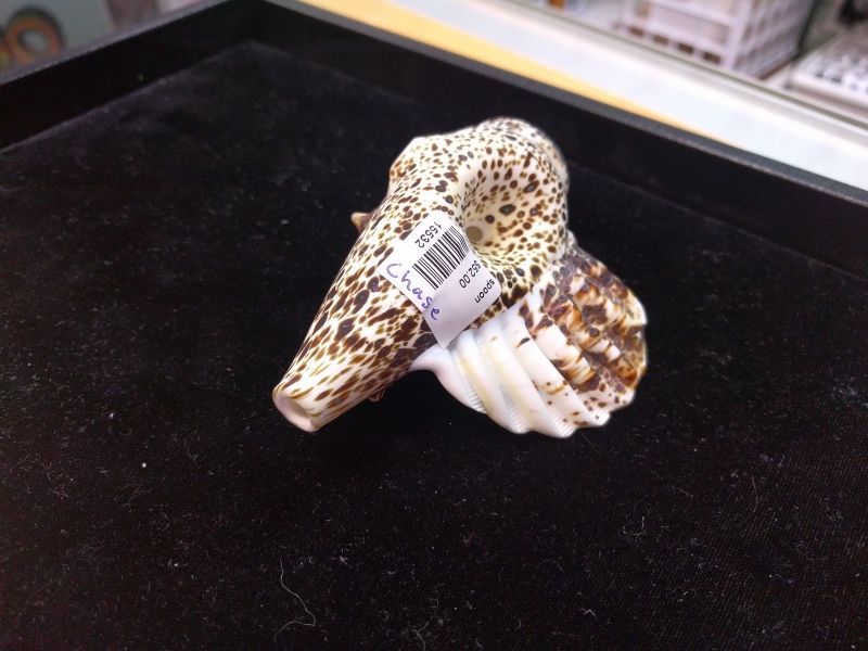 Jambo Smoke Shop - 1348 Bay St Florence, OR